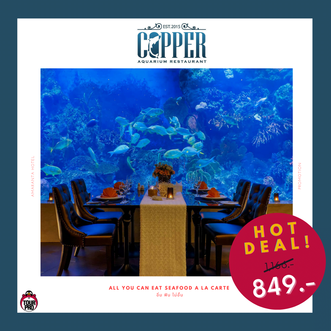 Copper Aquarium Restaurant (𝐀𝐥𝐥 𝐘𝐨𝐮 𝐂𝐚𝐧 𝐄𝐚𝐭 𝐒𝐞𝐚𝐟𝐨𝐨𝐝 𝐀 𝐋𝐚 𝐂𝐚𝐫𝐭𝐞) - tourpro